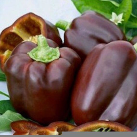 Pepper Seeds - Sweet Pepper - Mild Pepper - Hot Chilli | Seeds and Plants