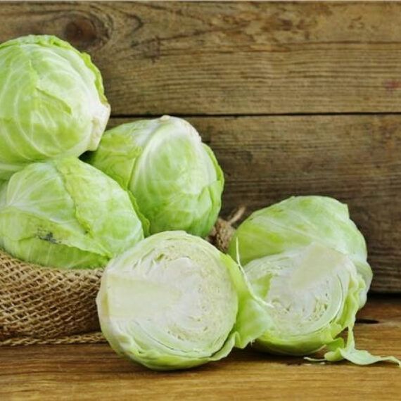 Cabbage Seeds For Sale - Cabbage Varieties | Seeds and Plants